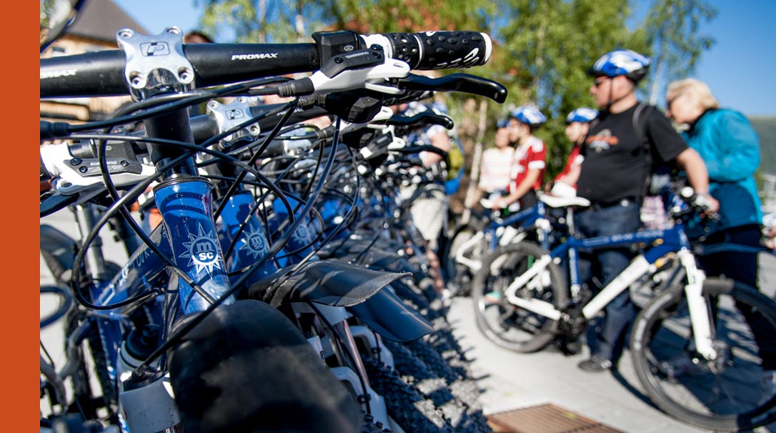 Cruise Excursions: all the available shore excursions | MSC Cruises