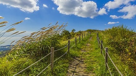 Muroran, cruises to Japan | MSC Cruises